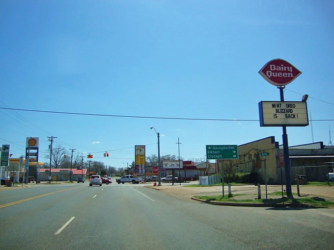 Nacogdoches' historic downtown features buildings older than your grandmother's secret recipes. The oldest town in Texas wears its age beautifully!