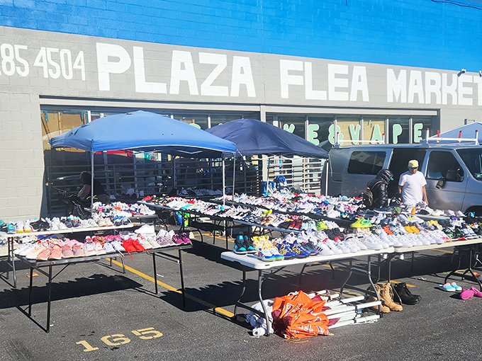 Shoe paradise stretches endlessly across asphalt where sneaker dreams come true at unbeatable prices.