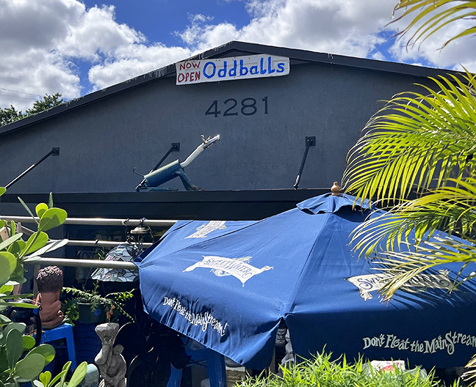 Oddballs lives up to its name with tropical flair and quirky charm spilling onto the sidewalk.