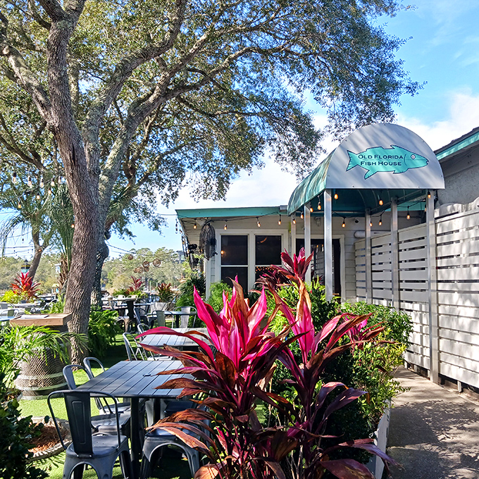 Old Florida Fish House's garden seating looks like it was designed by Mother Nature herself &ndash; with a little help from string lights.