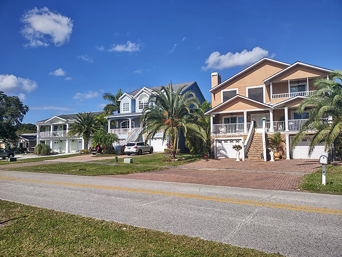 Coastal living with a side of curb appeal! These Oldsmar homes are what happens when architecture takes a vacation and decides to stay.