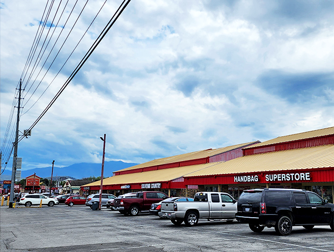 The red and yellow facade screams "bargains inside" louder than a carnival barker on opening day.