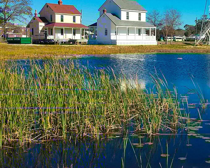 Port St. Joe's waterfront homes face the bay like eager theatergoers. Front-row seats to nature's daily performance of light and water.