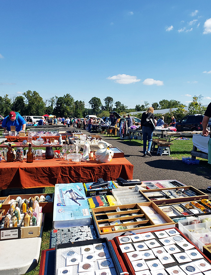 Indoor browsing meets outdoor adventure in this climate-controlled treasure hunting headquarters of dreams.