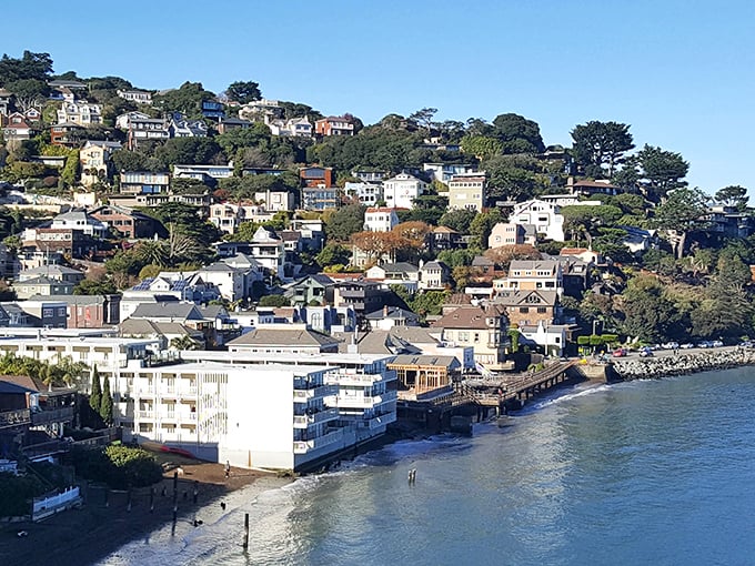 Hillside homes cascade toward the bay like a Mediterranean dream that decided to vacation in California.