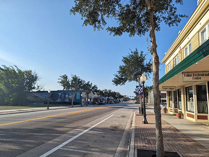 Sebring's downtown wraps around Lake Jackson like arms embracing an old friend, peaceful and perfectly content.