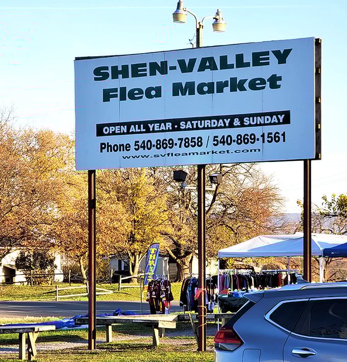 Shen-Valley's outdoor setup makes treasure hunting feel like a country picnic with prizes. 