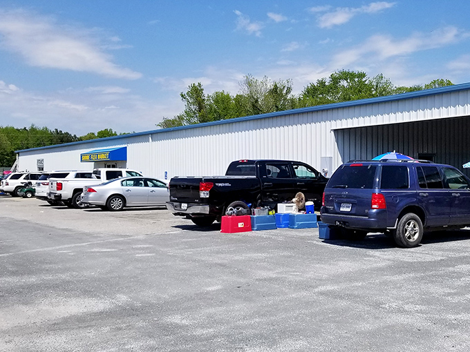 Shore Flea Market's clean, organized layout proves treasure hunting doesn't require getting dirty. 