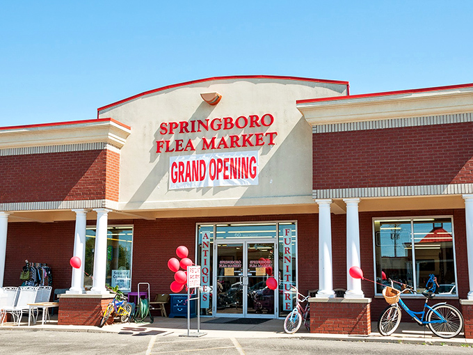 Clean, bright aisles make treasure hunting feel civilized - no dusty attics or cramped garage sales here.