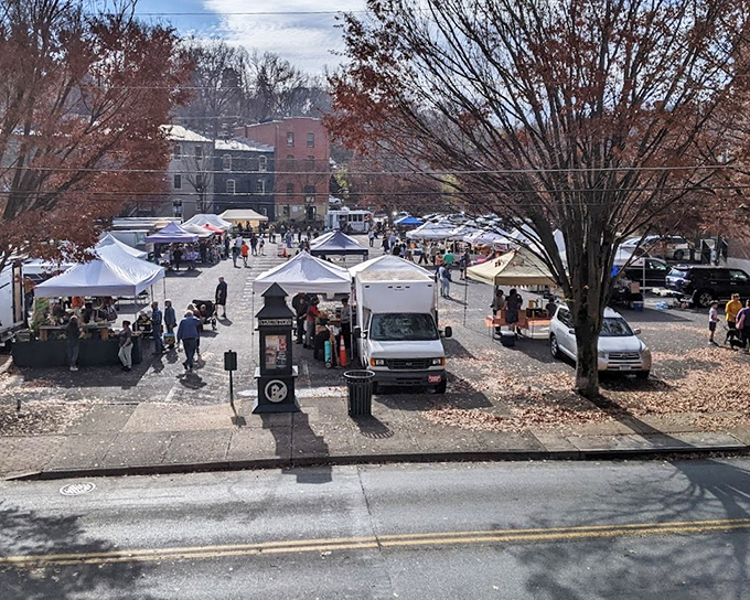 White tents transform downtown streets into a charming blend of fresh produce and vintage treasures.