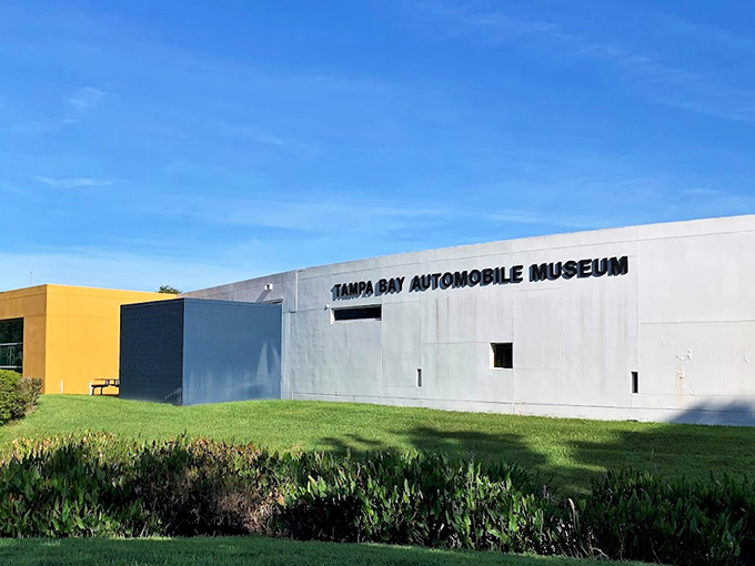 Clean lines and modern design house automotive treasures that span decades of innovation and engineering brilliance.