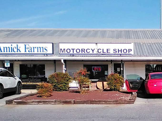 This weathered warehouse holds more surprises than a magician's hat, with deals that'll make your wallet smile.