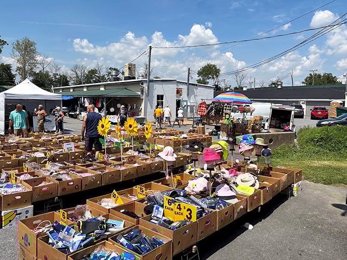 The tent city of commerce where yesterday's forgotten items become today's must-haves. Sunflowers add a touch of cheer to serious bargain hunting.