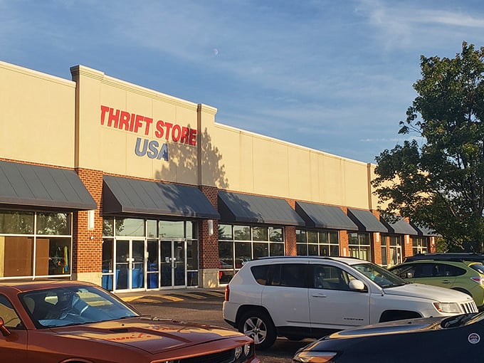 Clean lines and organized displays make thrift shopping feel surprisingly sophisticated and welcoming.