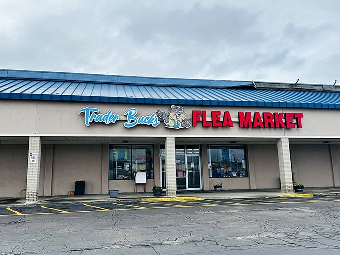 Trader Buck's blue-topped storefront stands ready for bargain hunters &ndash; retail therapy without the "retail" prices.