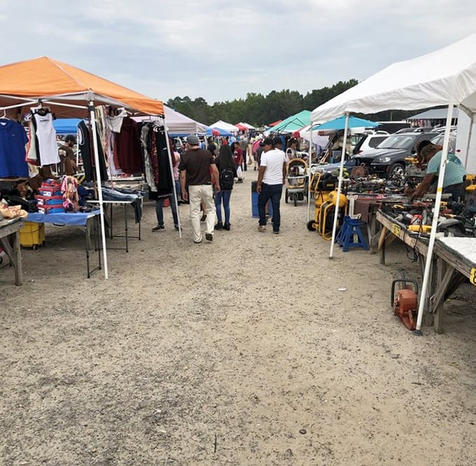 Organized chaos creates shopping magic where every aisle holds potential treasures waiting for discovery.