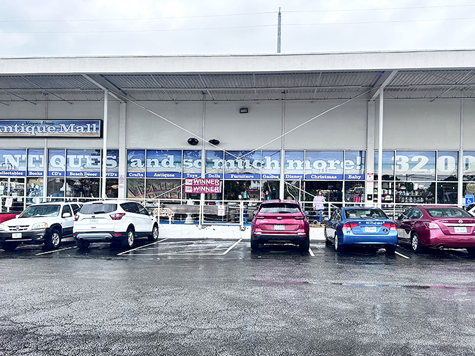 This warehouse-sized wonderland stretches endlessly, promising discoveries around every corner for patient treasure seekers.