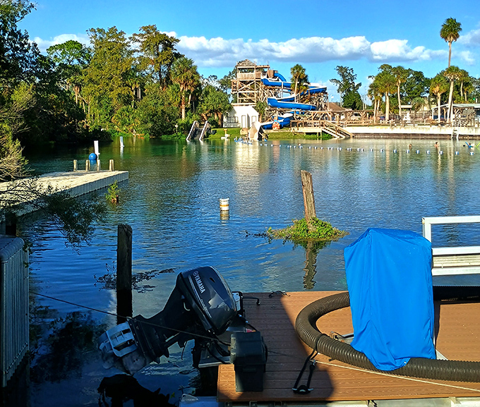 Weeki Wachee's underwater theater: where mermaids perform and physics takes a coffee break. 
