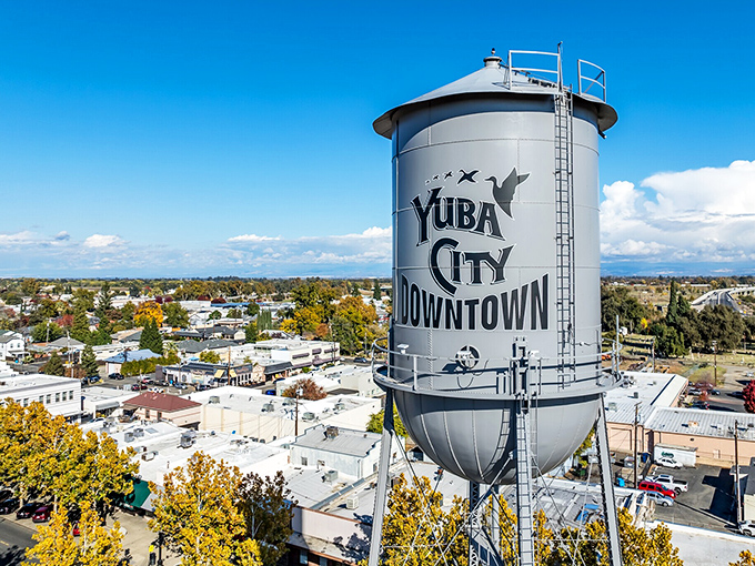 Yuba City's water tower stands like a proud parent watching over downtown&mdash;that goose silhouette isn't flying south for retirement!