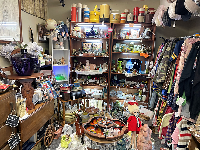 Organized chaos at its finest! Every shelf tells a story, every corner hides a surprise. It's like "Where's Waldo" but with vintage treasures.