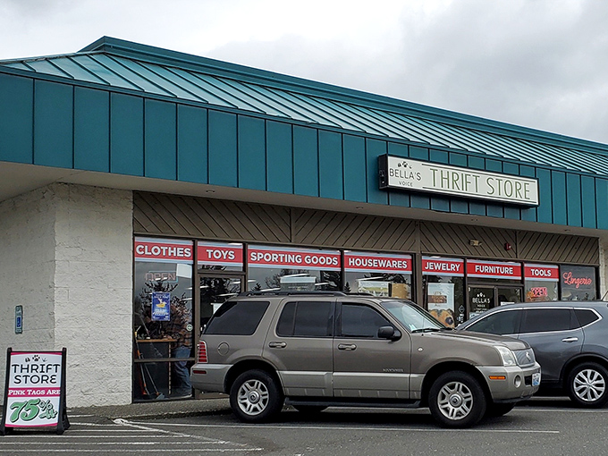 Shopping with heart! Bella's Voice combines bargain hunting with animal advocacy in a bright, welcoming space that feels like retail therapy.