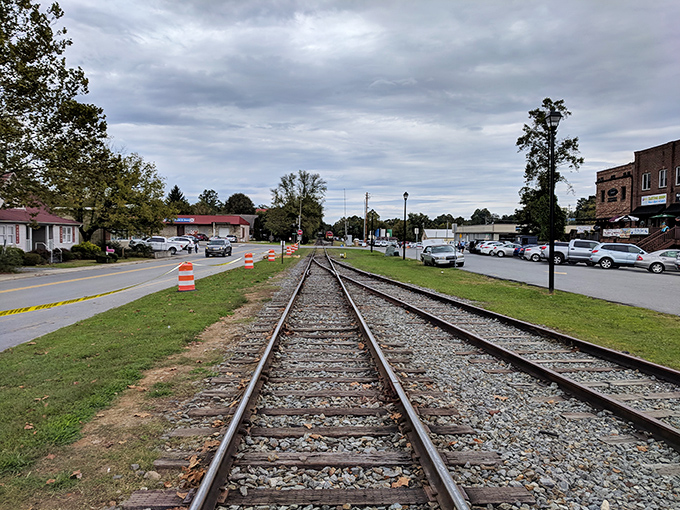 Take a stroll along the scenic railroad in beautiful Blue Ridge, where mountain adventures and friendly southern hospitality always await you.