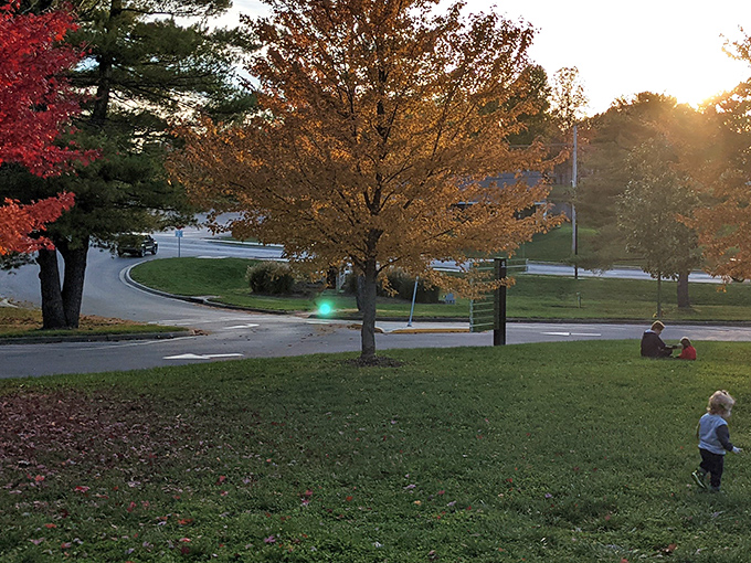 Golden hour transforms suburban tranquility into something that belongs on a greeting card.