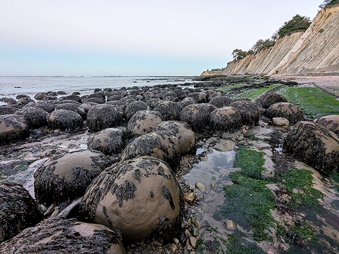 These mysterious spheres at Bowling Ball Beach look like they're waiting for cosmic giants to start a game.