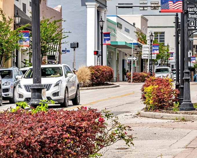 Small-town serenity flows through these quiet streets where neighbors still wave hello.