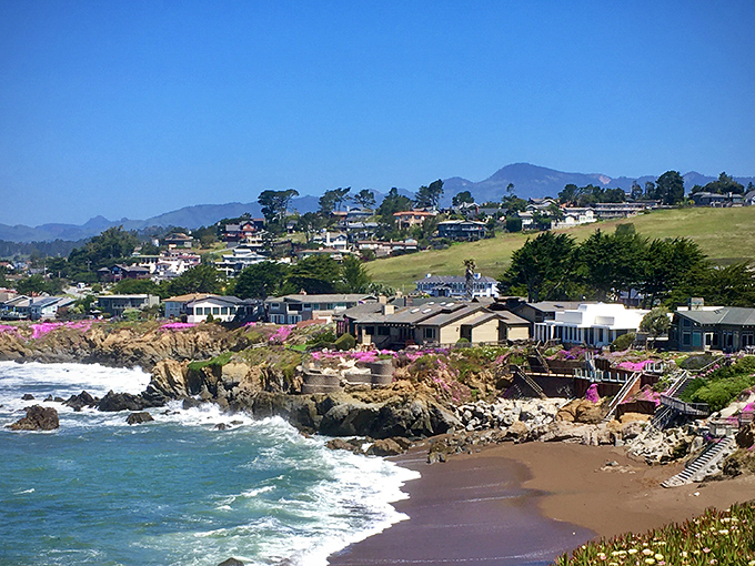 Rolling hills meet the Pacific where seals play and artists find their perfect muse.