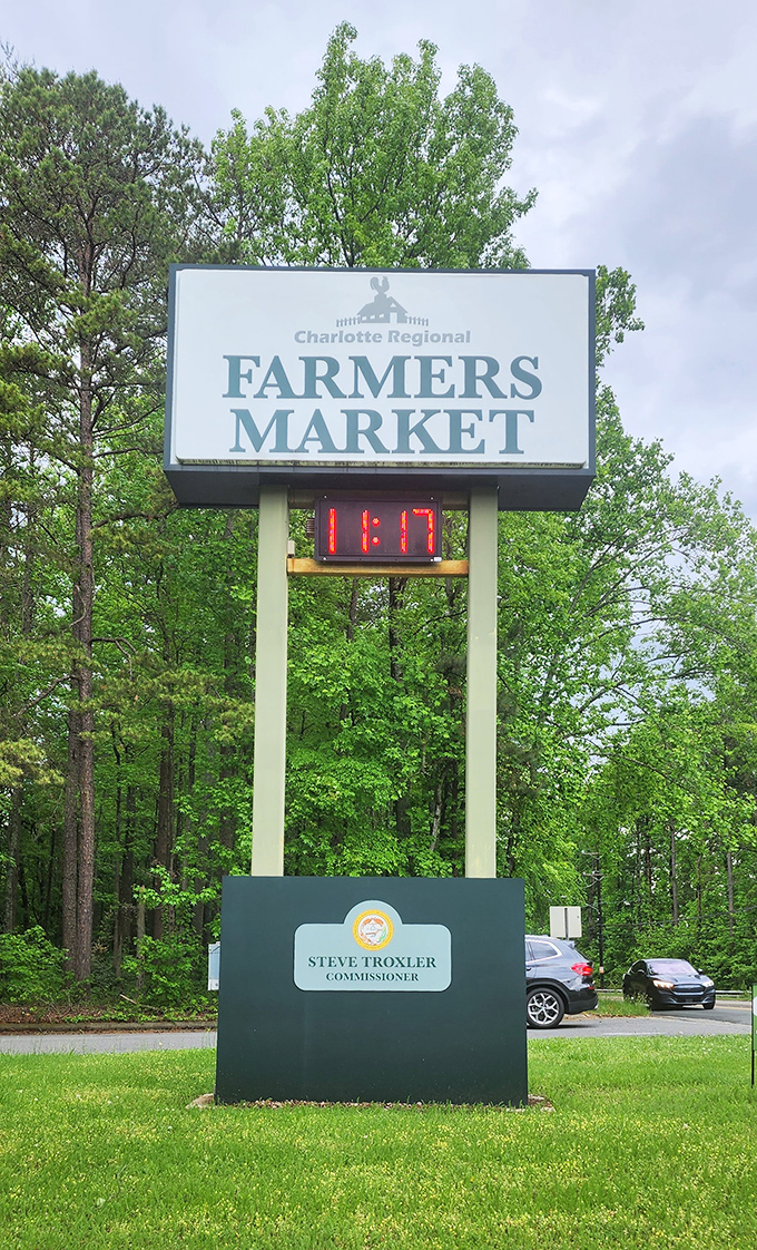 Nothing says "we mean business" like a towering sign that guides bargain hunters from miles away.