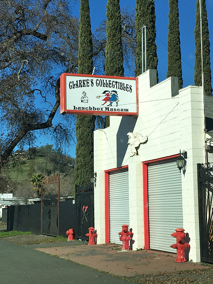 A collector's paradise where every vintage lunchbox whispers tales of playground trading sessions.