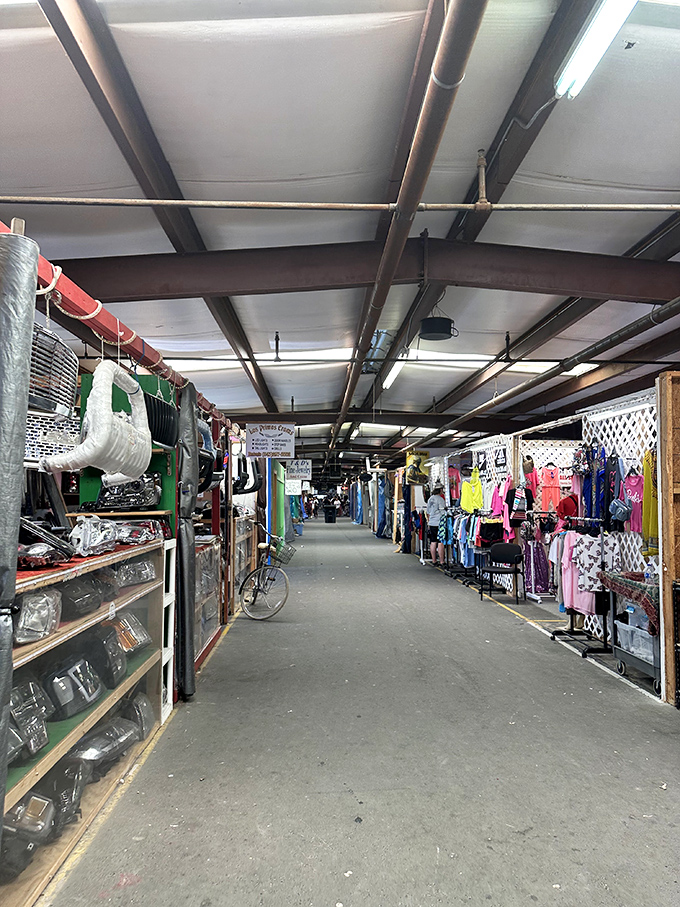 The indoor market corridor stretches like a runway of possibilities. Each booth a different universe of potential discoveries.