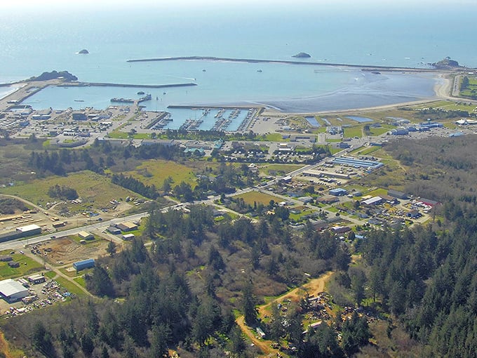 Towering redwoods stand guard over this coastal gem, creating nature's own retirement community with style.