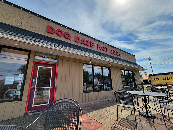 Gourmet hot dogs served with small-town charm - proof that elevation comes from passion, not pretension.