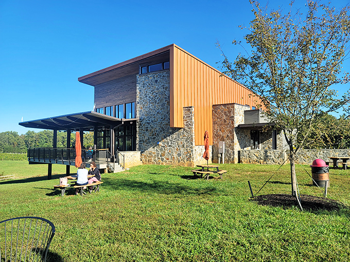 Sun-drenched days at Fifty-Third Winery & Vineyard offer you the perfect backdrop for sipping local wines and enjoying good company.