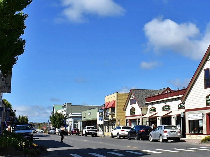 Downtown Fortuna proves that sometimes the best entertainment is watching life unfold at its own unhurried rhythm.