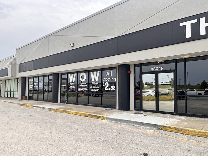 Sometimes the best finds come wrapped in the most modest packaging, just waiting patiently.