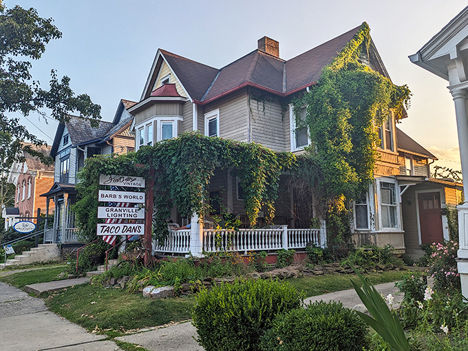 Victorian homes peek through autumn leaves like shy beauties at their first dance, absolutely enchanting.