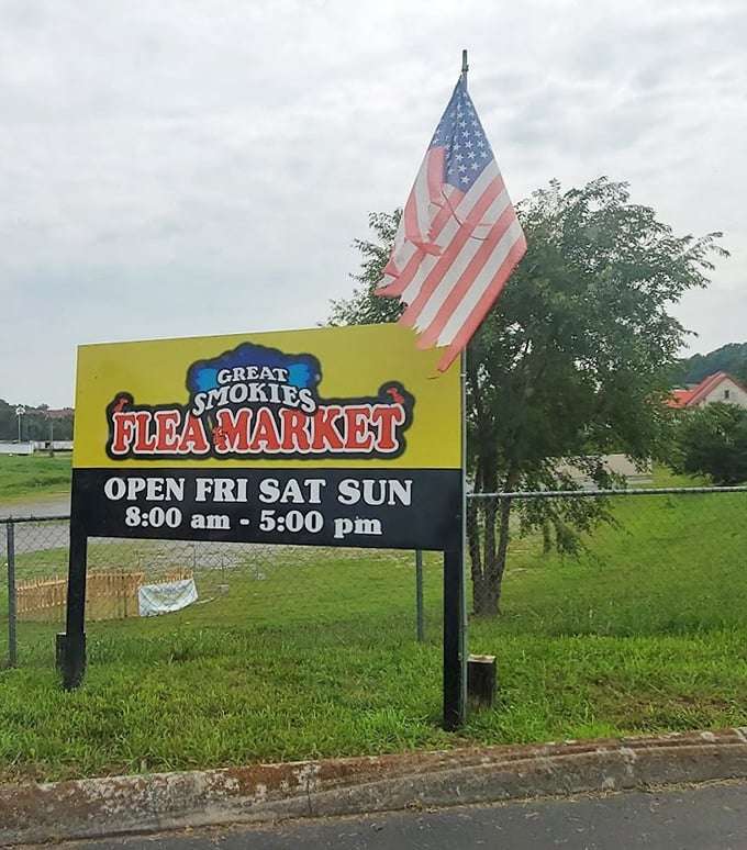 Stars, stripes, and serious shopping &ndash; this patriotic setup knows how to make bargain hunting feel downright American.