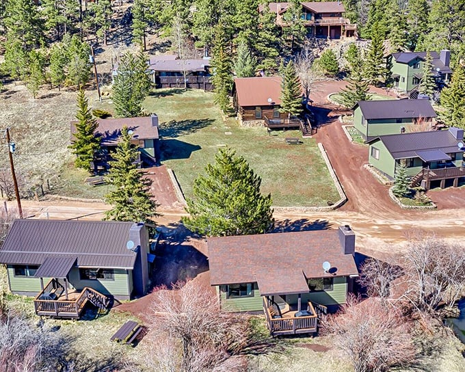 Mountain cabins dot Greer's landscape like scattered gems in a forest jewelry box setting.