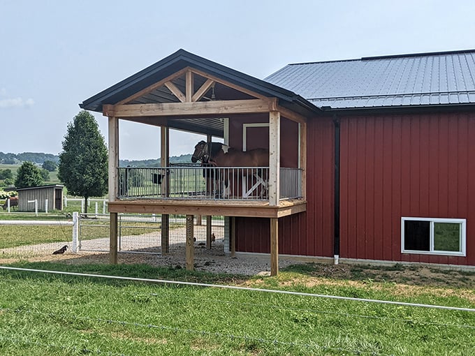 Farm-fresh ingredients meet master baking skills in this delightfully rustic red barn setting.