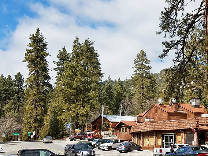 Mountain air meets artistic flair on streets where inspiration flows as freely as the crystal-clear streams nearby.