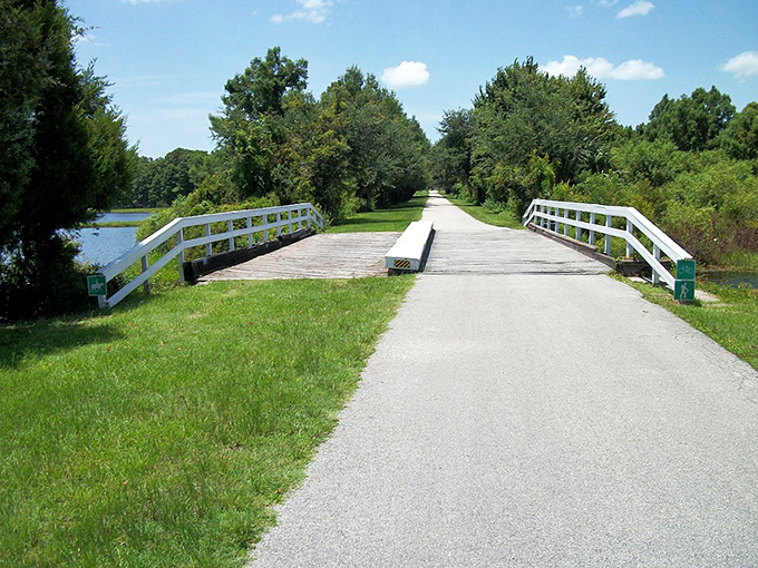 The Withlacoochee State Trail offers miles of peaceful walking where your biggest worry is choosing the perfect pace.