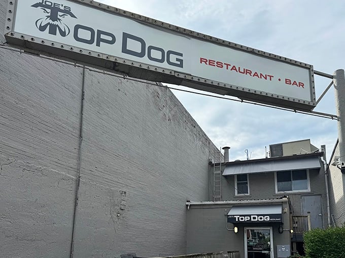 That industrial-chic exterior conceals culinary secrets that would make your grandmother weep with joy.