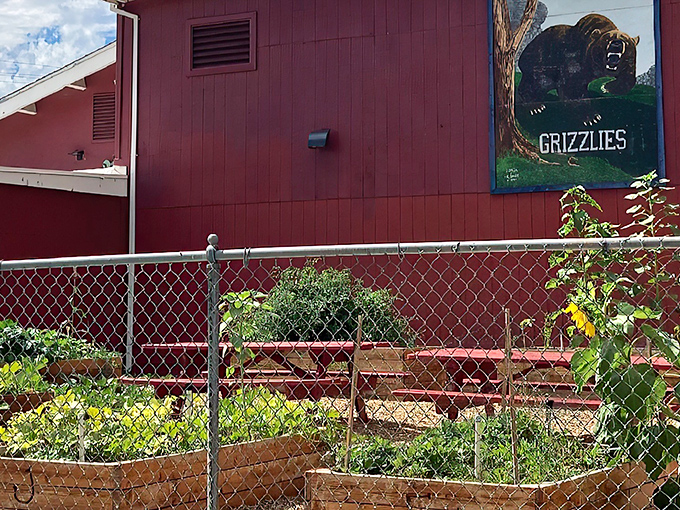 Those garden boxes prove Johnstonville folks grow their own everything, including community spirit. 