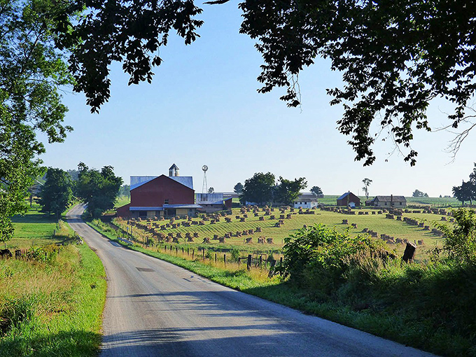 Country roads lead to everywhere and nowhere, inviting you to slow down and savor the journey ahead.
