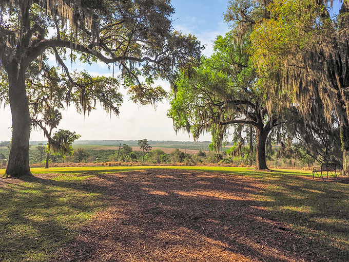Bok Tower's gardens offer tranquil moments where time slows down and worries simply drift away.