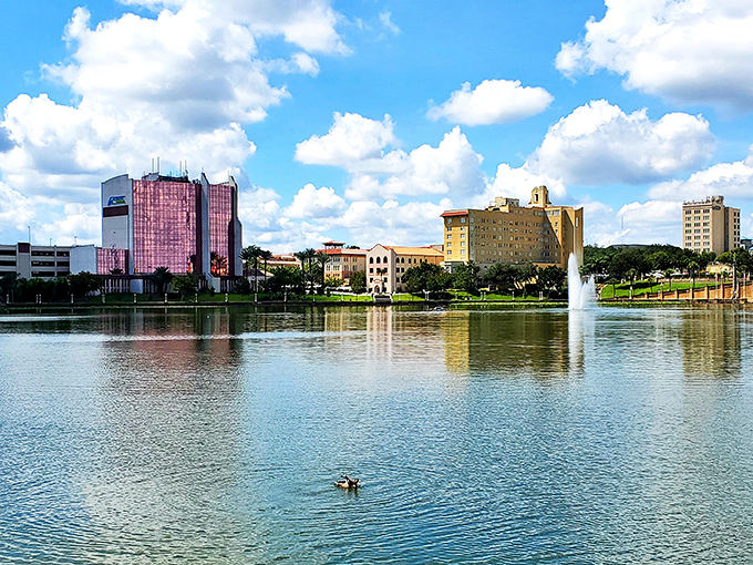 Lakeland's downtown skyline reflects in the water like nature's own Instagram filter. Swans and sunshine create Florida magic without the tourist price tag.