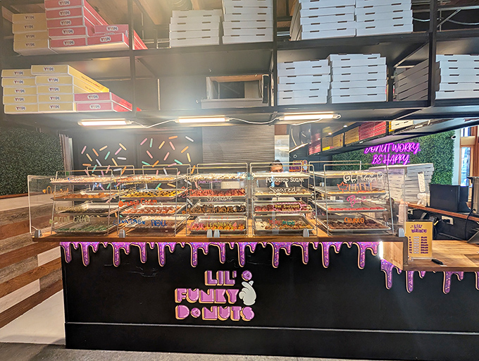 A modern donut wonderland where every shelf tells a different sweet story. Lil' Funky Donuts' sleek display cases showcase treats that look almost too pretty to eat&mdash;almost.
